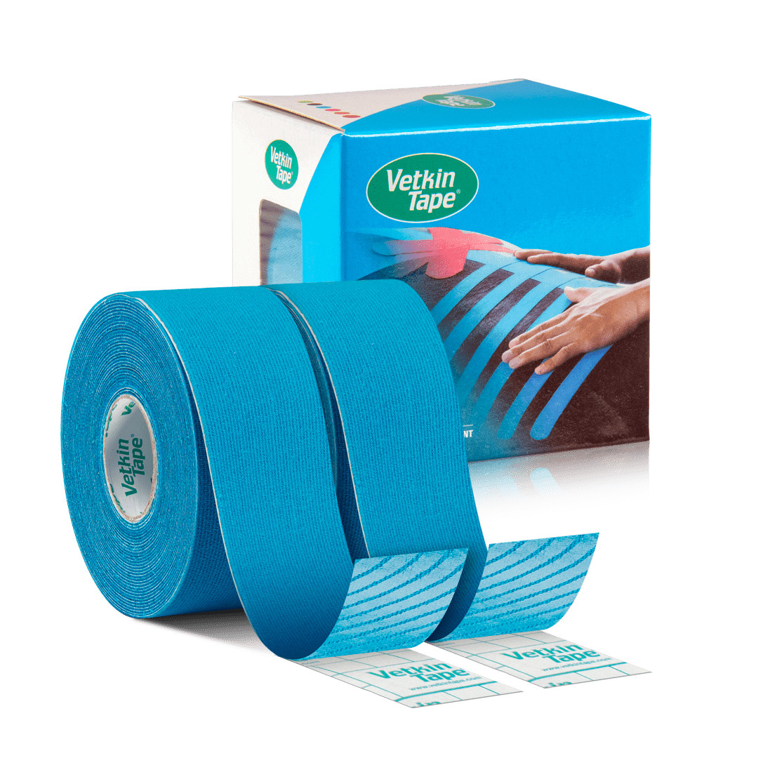 VetkinTape – Concessus